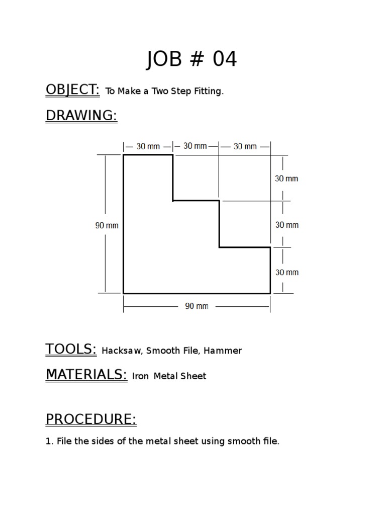Workshop Report - Two Step Fitting | PDF