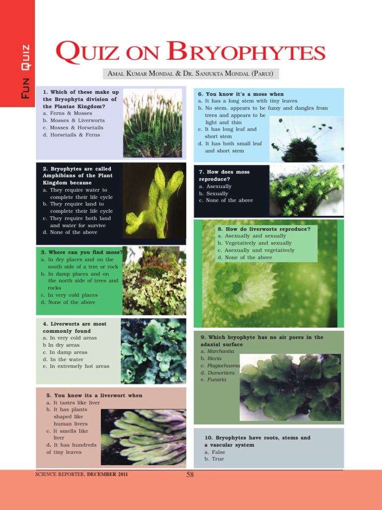 SR 48 (12) (Fun Quiz) PDF | PDF | Moss | Botany