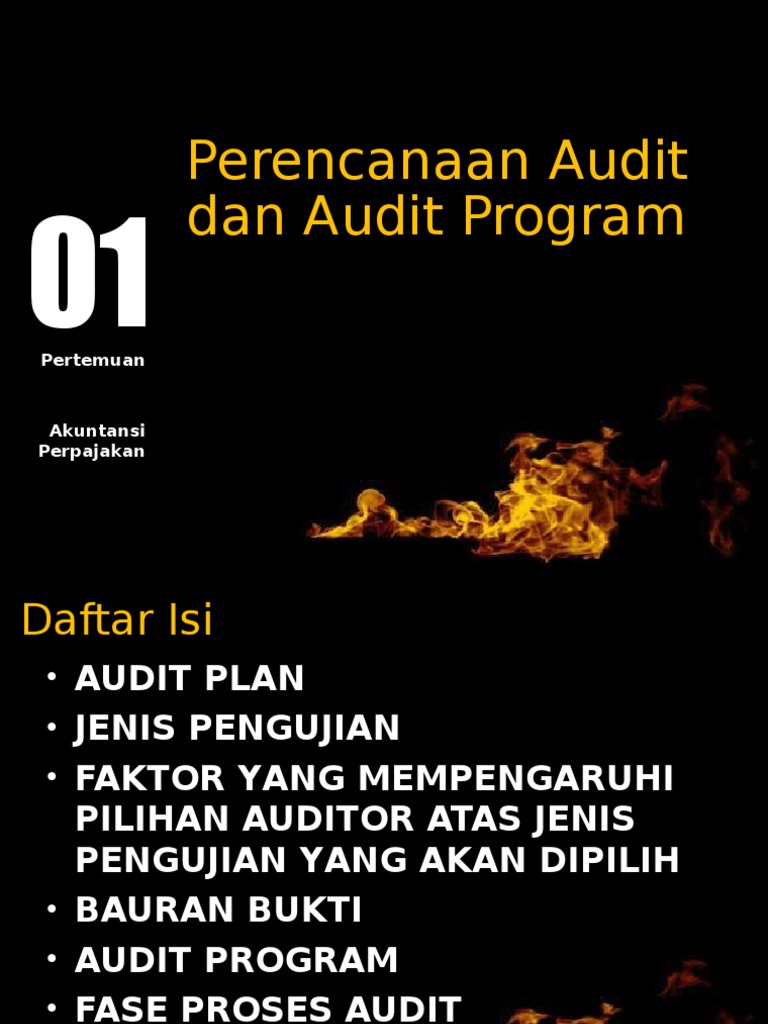 Praktikum Auditing-Audit Plan Dan Audit Program | PDF