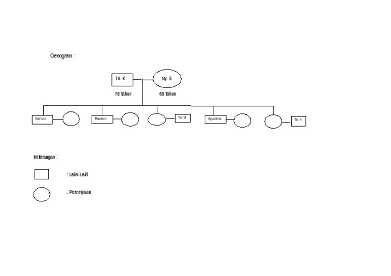 Contoh Genogram Sederhana | PDF