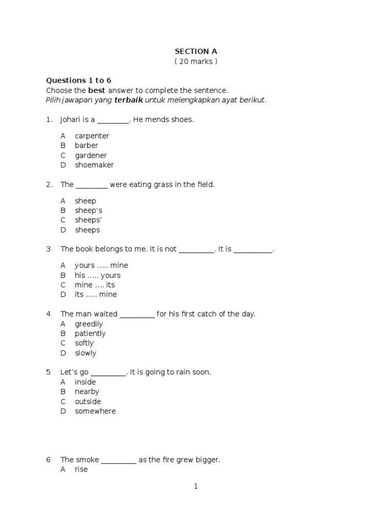 Standardized Test with Sections on Language Skills, Reading ...