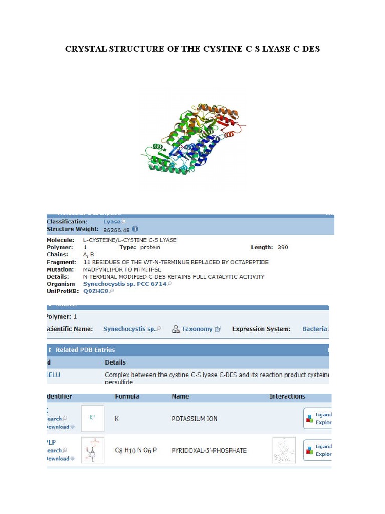 Crystal Structure of The Cystine C | PDF | Computers | Technology ...