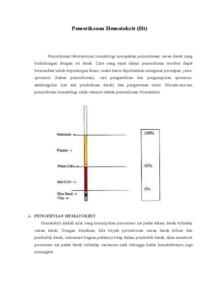 Pemeriksaan Hematokrit | PDF