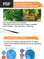 Manual para El Establecimiento de Una Huerta de Aguacate | PDF | Aguacate | Fertilizante