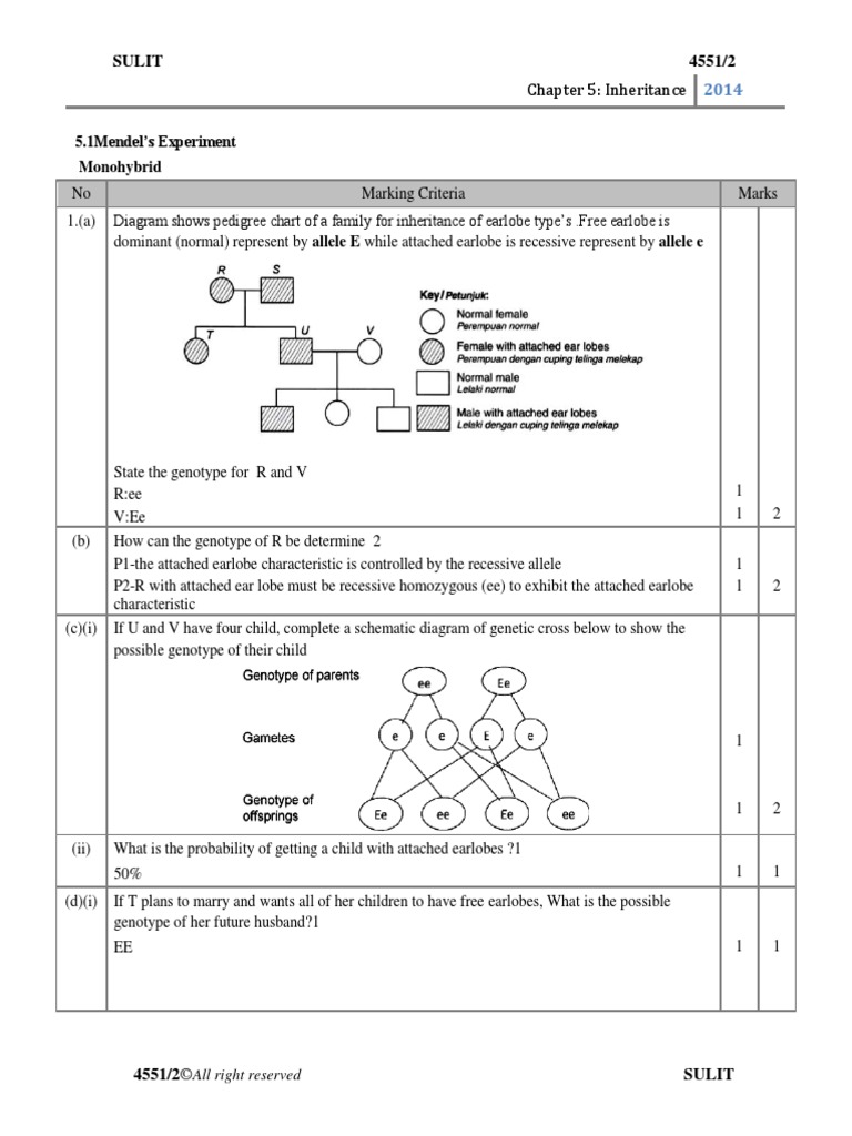 BIOLOGY Form 5 Chapter 5 Inheritance | PDF | Dominance (Genetics) | Zygosity