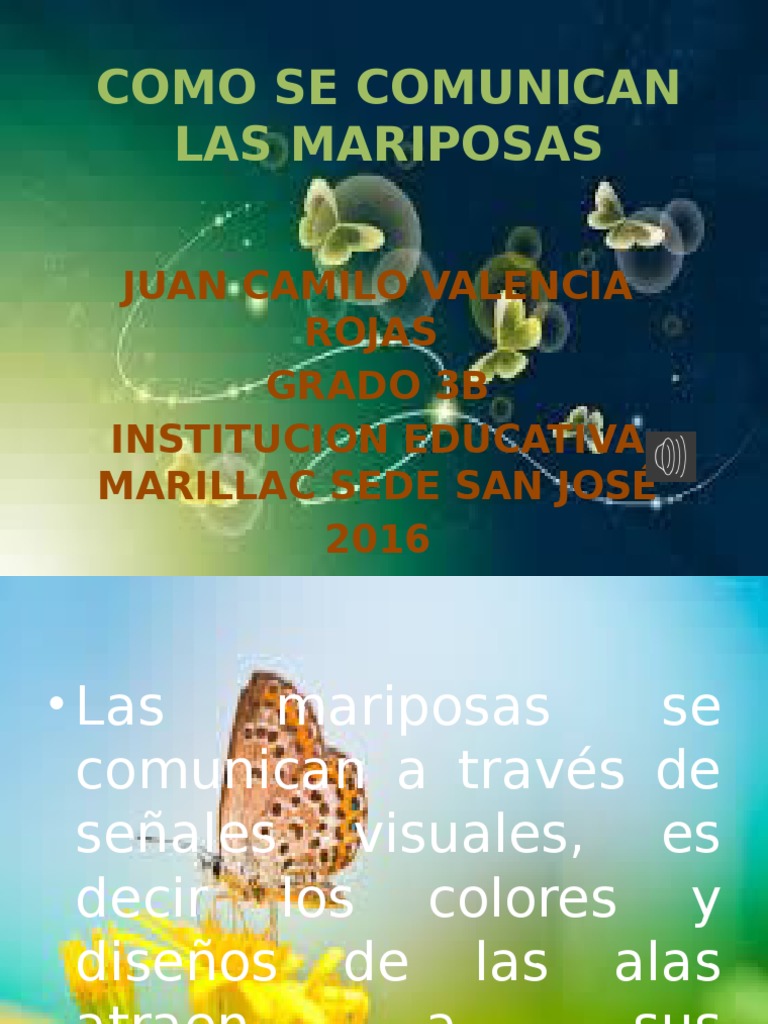 Como Se Comunican Las Mariposas1 | PDF