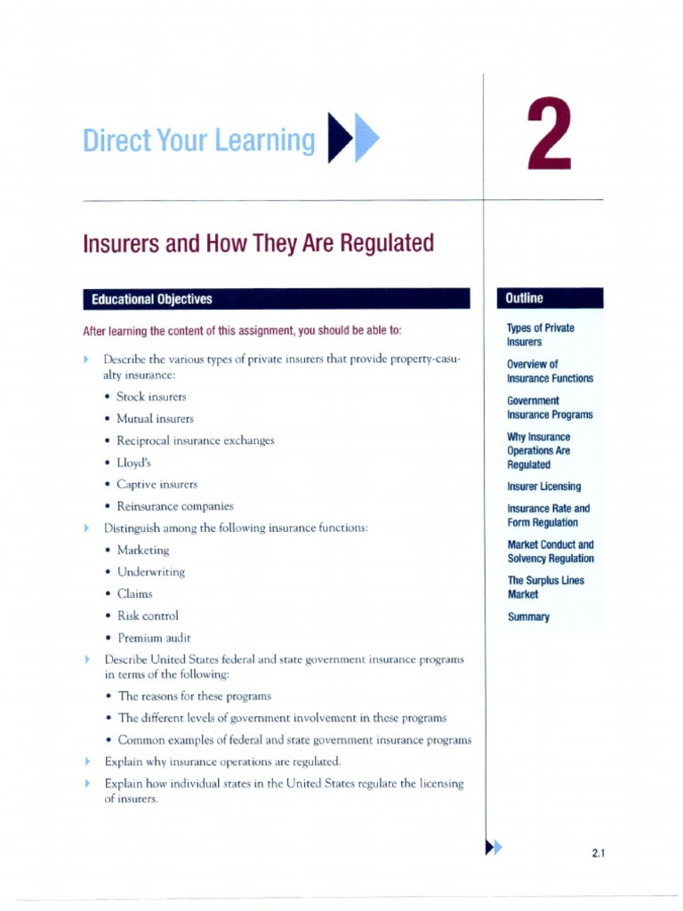 Regulation of Private Insurers and Government Insurance Programs | PDF ...