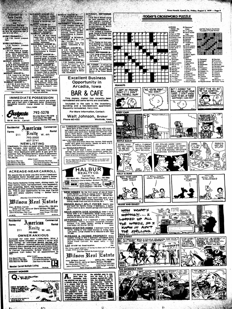 Newspaper Strip 19790803 | PDF | Home | Room