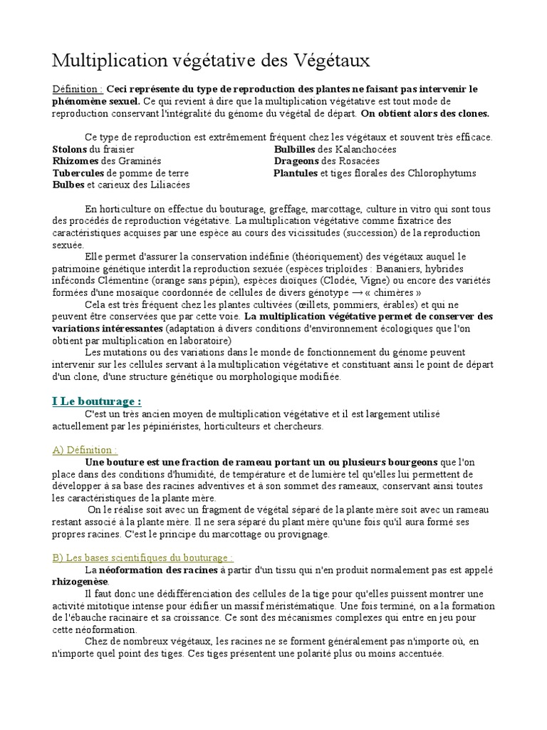 Multiplication Vegetative | PDF | Racine | Auxine