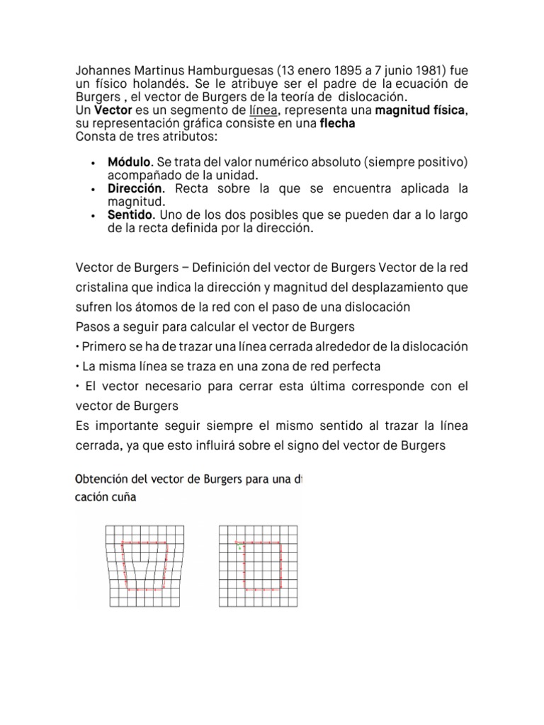 Vector de Burgers | PDF