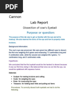 Eye Disection Lab | PDF | Eye | Facial Features