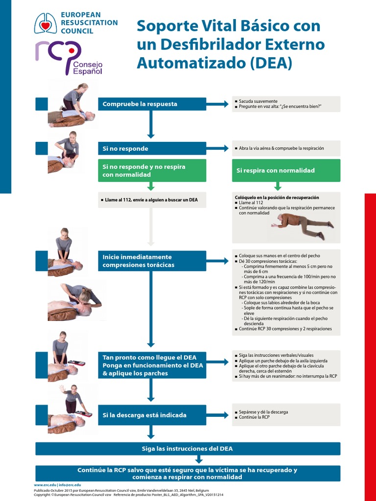 Poster Algoritmo SVB DEA Espanol 2015 | PDF | Reanimación ...