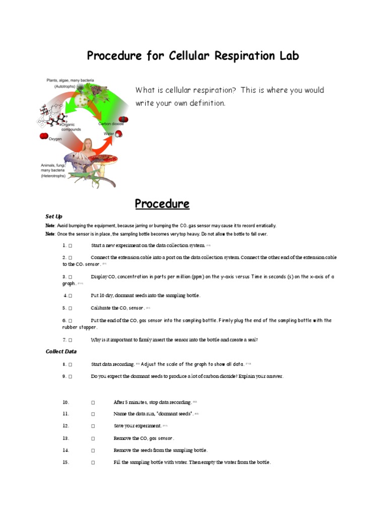 Procedure For Cellular Respiration Lab: What Is Cellular Respiration ...