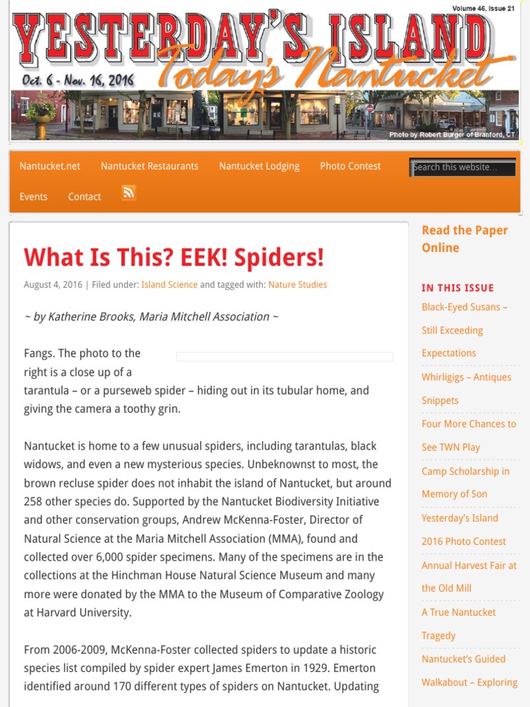 EEK! Spiders! | PDF | Science | Science (General)