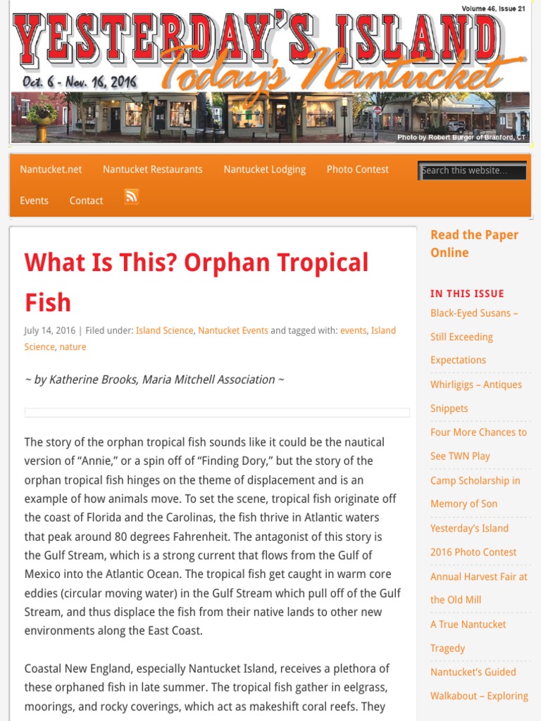 Orphan Tropical Fish | PDF | Fish | Science