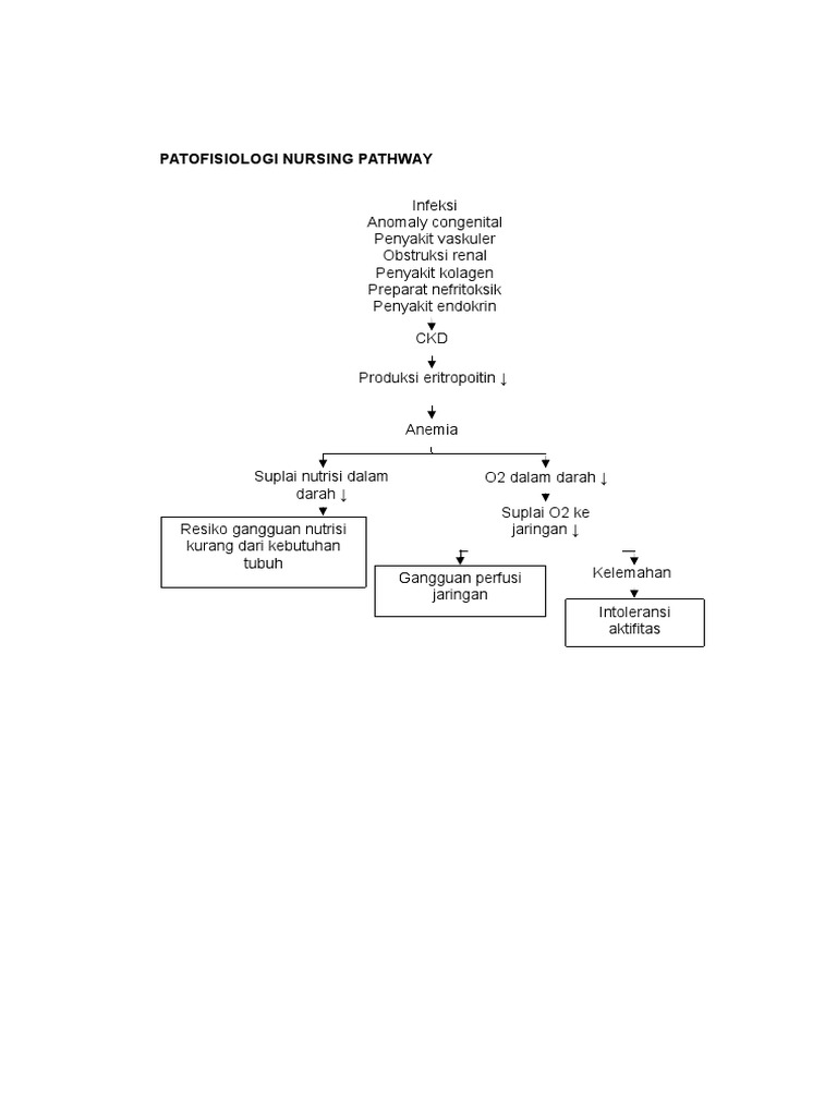 Pathway CKD Anemia | PDF