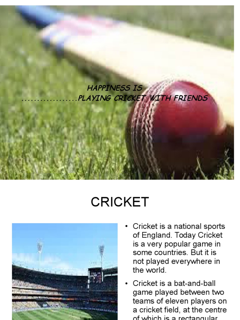 Cricket Fun with Friends | PDF | Sports & Recreation