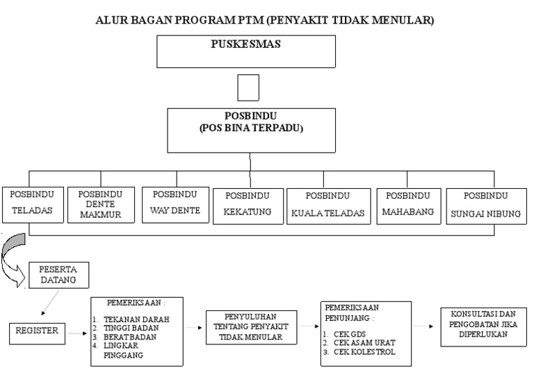 Alur Bagan Program PTM | PDF