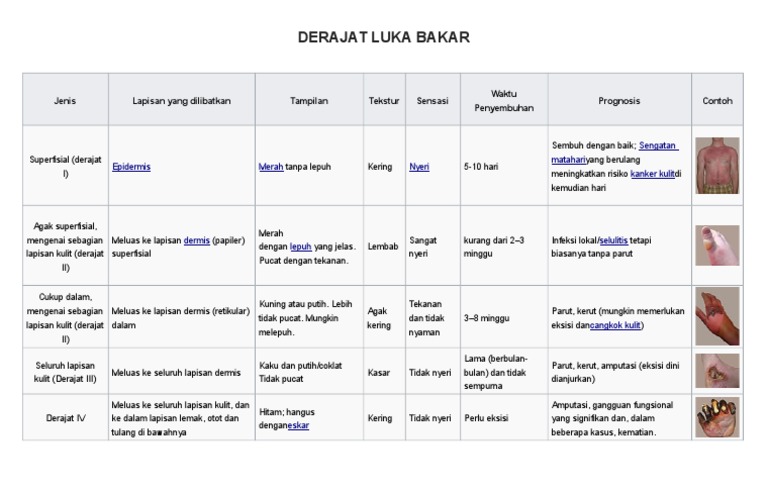 Derajat Luka Bakar | PDF