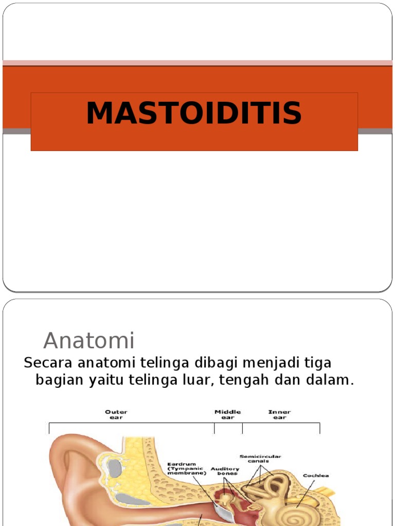 Mastoiditis: Gejala, Diagnosis, dan Pengobatan | PDF | Pengembangan ...