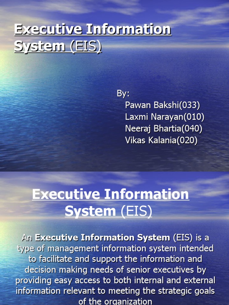 Executive Information System Overview | PDF | Information Age ...
