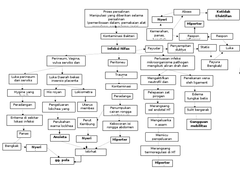 Pathway Infeksi Nifas | PDF