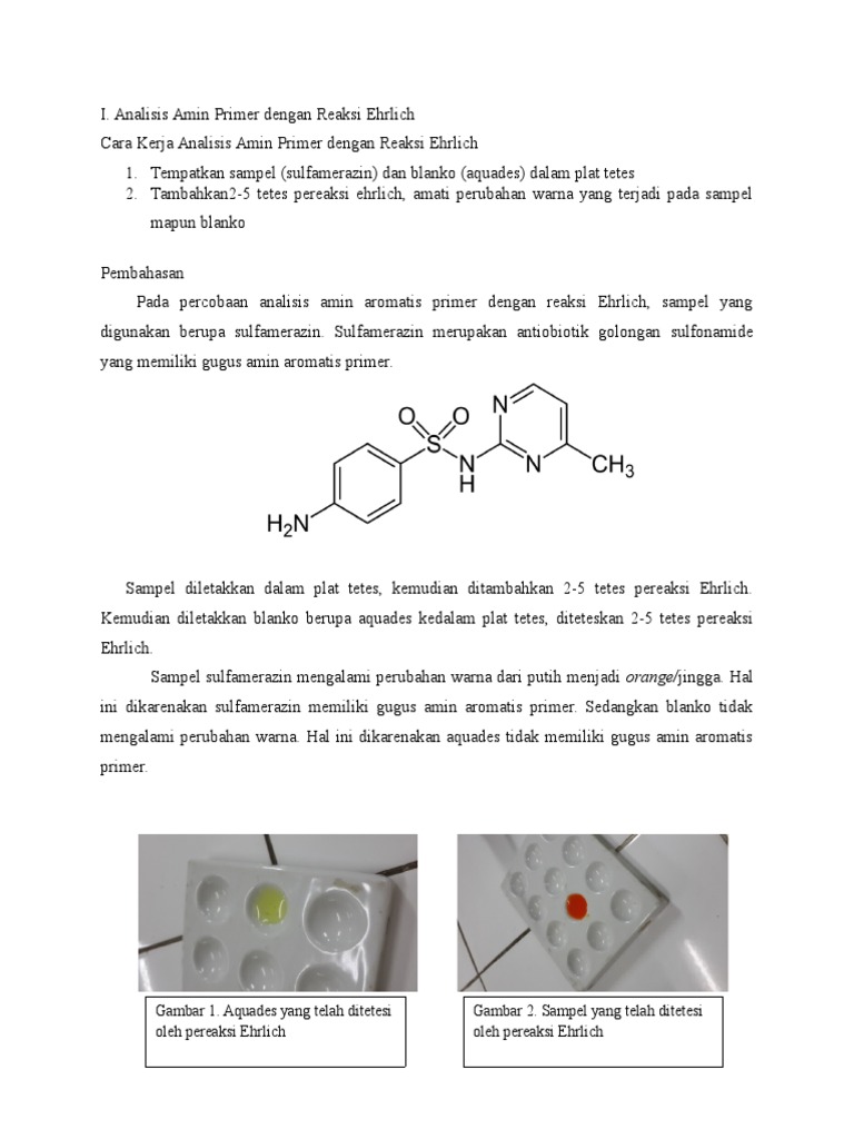 Cara Kerja Analisis Amin Primer Dengan Reaksi Ehrlich | PDF
