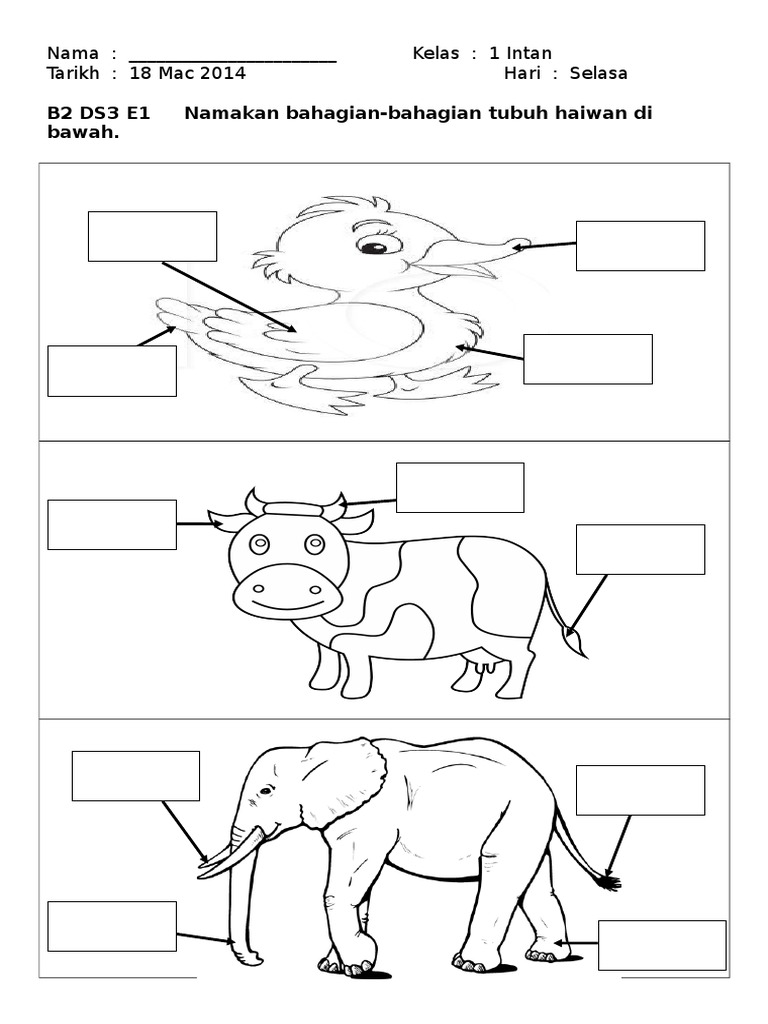 Label Anggota Badan Haiwan Tahun 1 Hitam Putih - nerveploaty