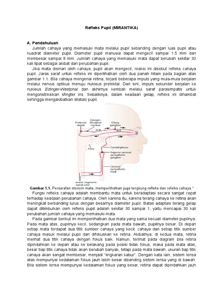 Refleks Pupil: Mekanisme dan Fungsi | PDF