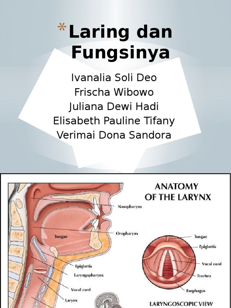 Laring Dan Fungsinya | PDF