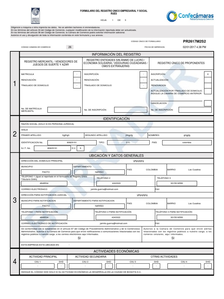 Formulario Rup | PDF | Contabilidad | Estado de resultados