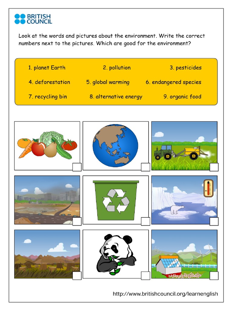 Kids Print Environment Vocabulary