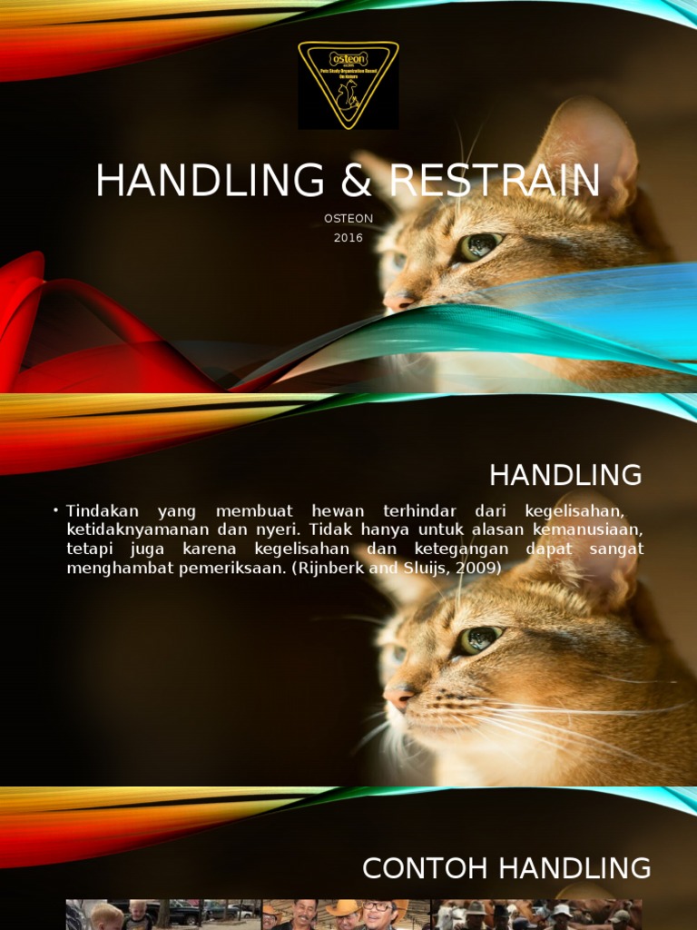 Handling & Restrain | PDF