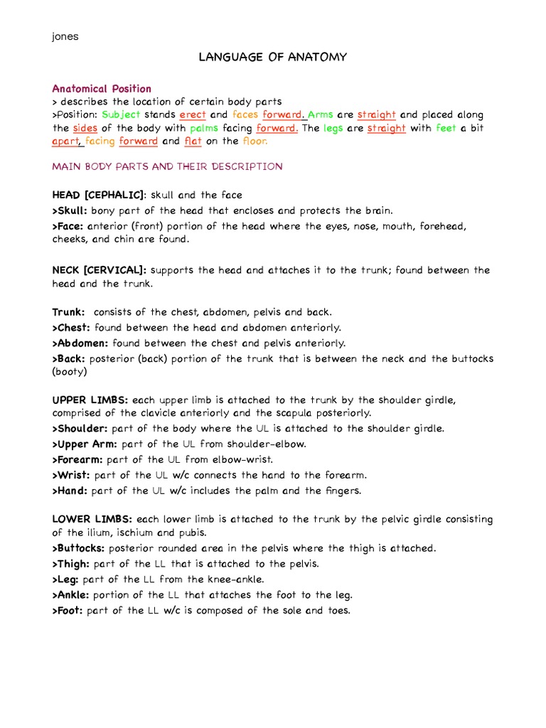 Language of Anatomy | PDF | Anatomical Terms Of Location | Pelvis