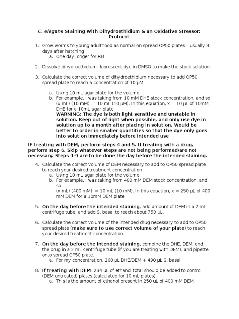 DHE Treatment Protocol | PDF | Solution | Staining