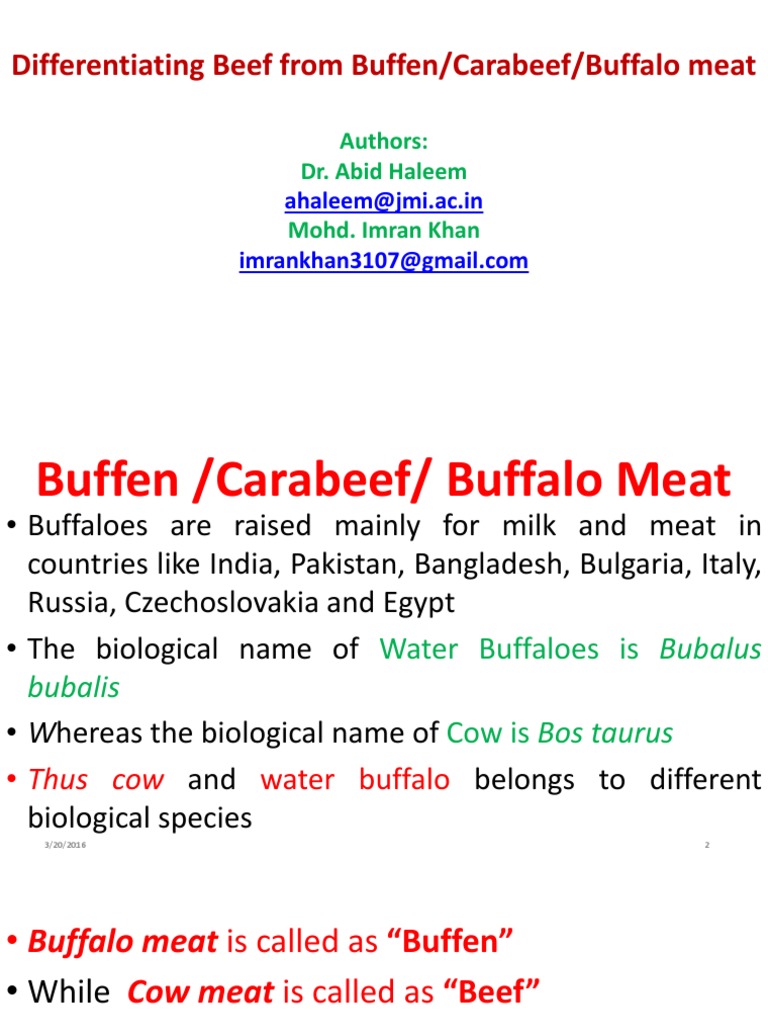 Differentiating Beef From Buffen | PDF | Livestock | Ethnobiology