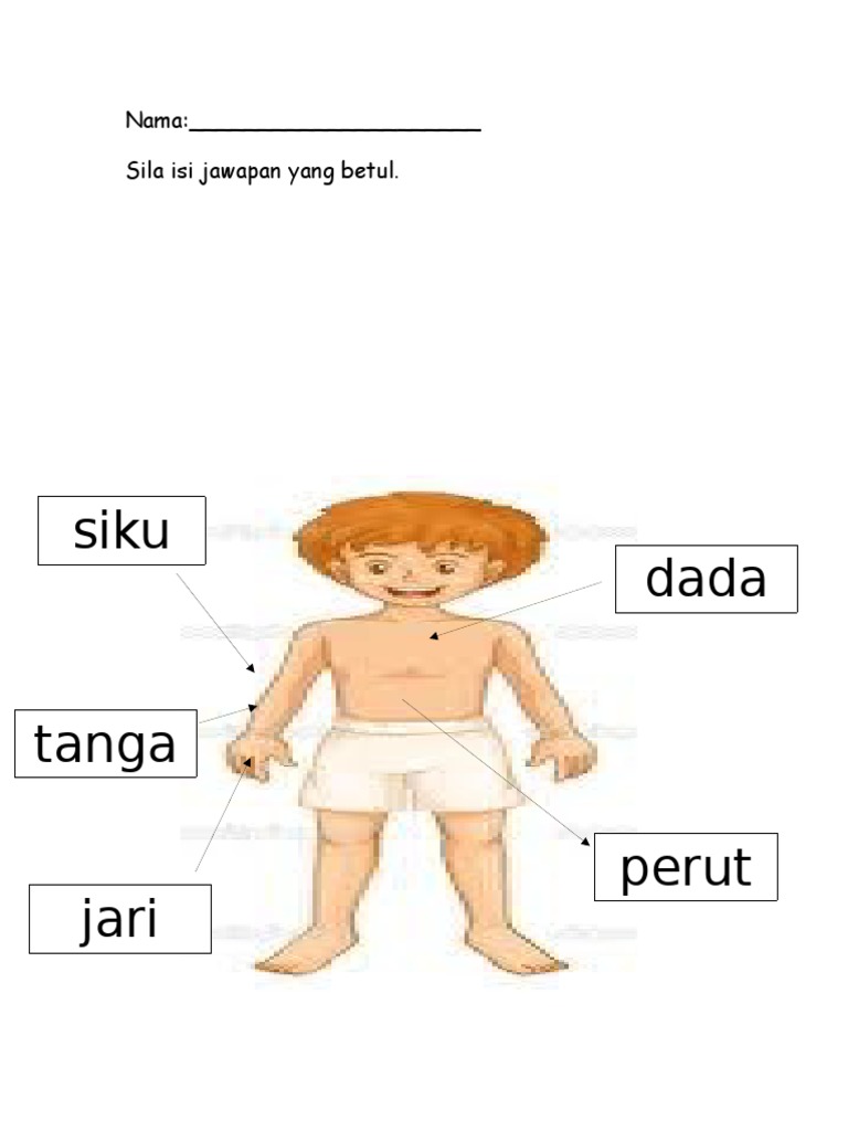 Latihan BM Anggota Badan Bahagian Badan | PDF