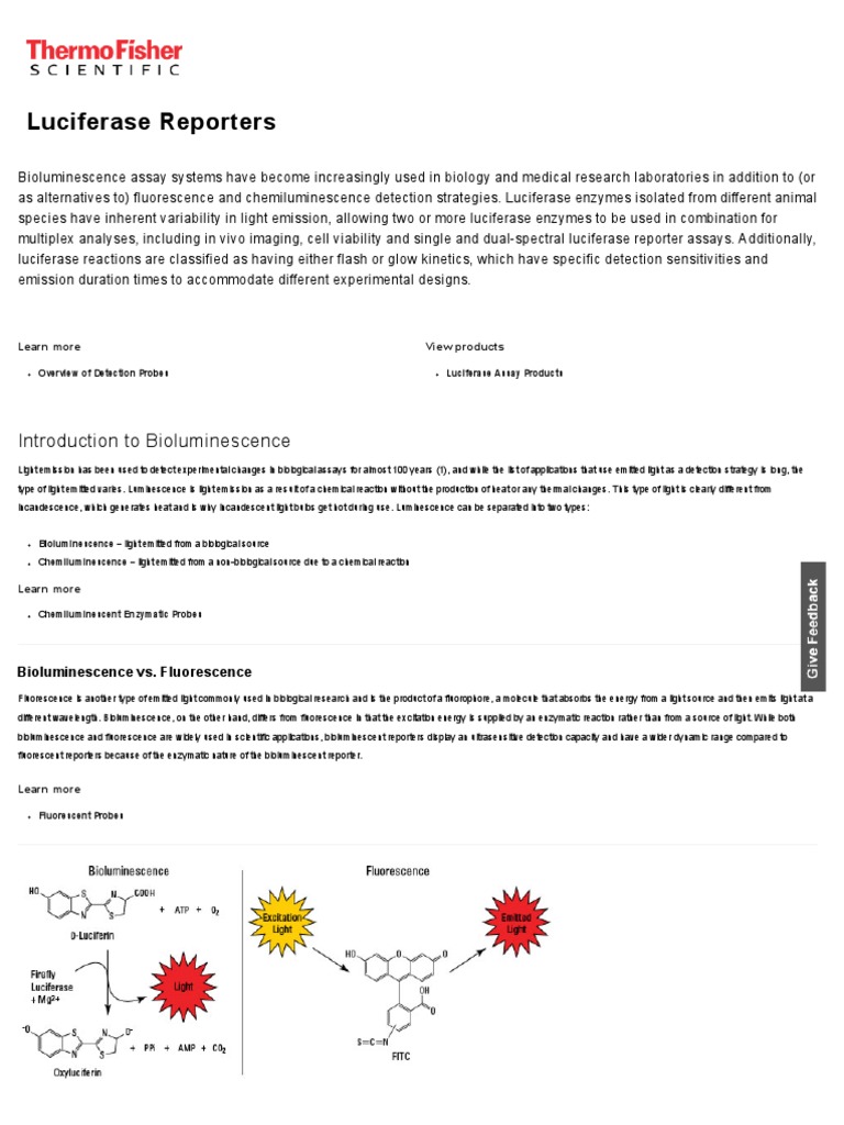 Luciferase Reporters - Thermo Fisher Scientific | PDF | Luciferase ...