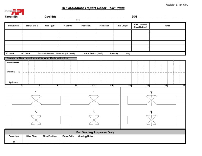API Indication Report for QUTE Exam | PDF | Industrial Processes ...