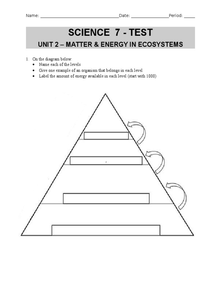 Unit 2 Matter Eenergy in Ecosystems Written Exam | PDF
