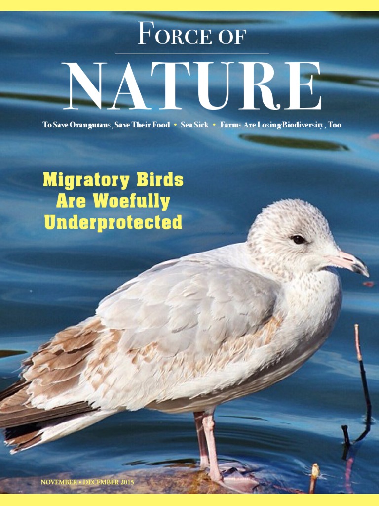 Mag Cover Start | PDF