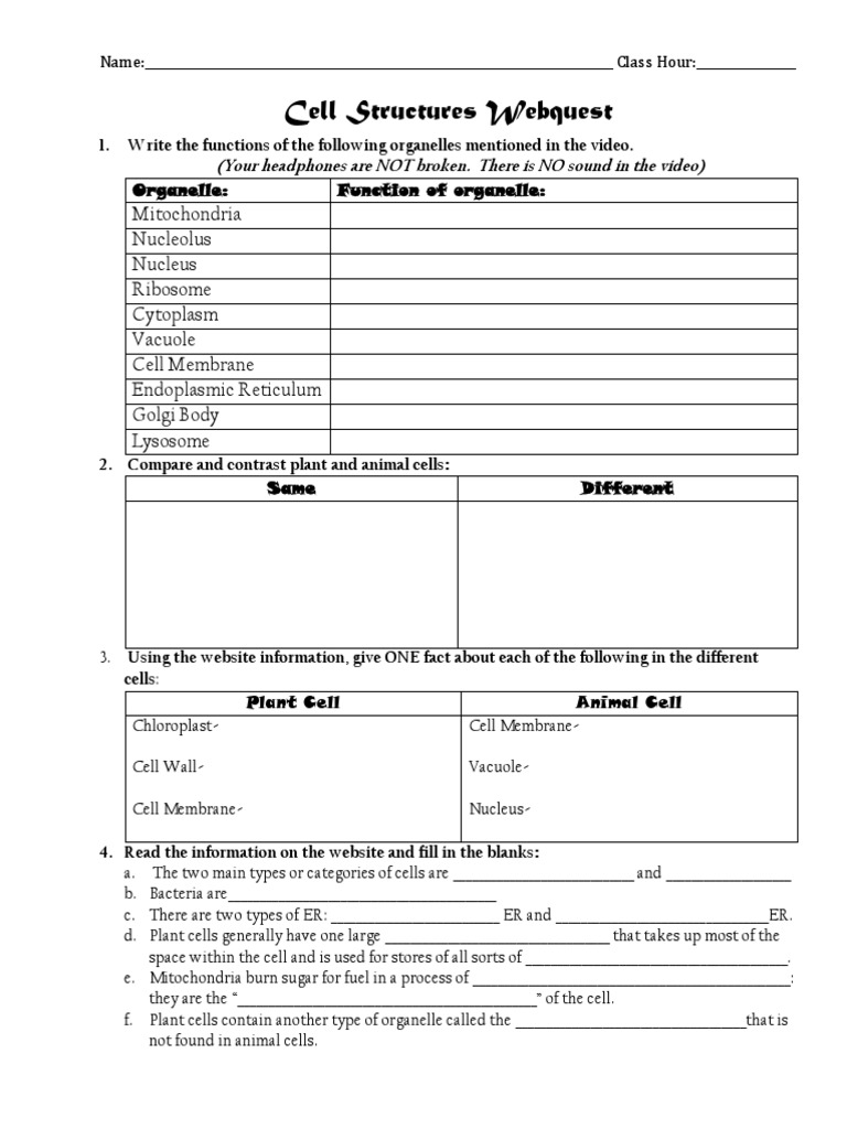 Cell Structures WebQuest | PDF