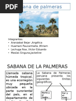 Impacto Ambiental - Ecosistema - Sabana Humeda de Palmeras | PDF ...