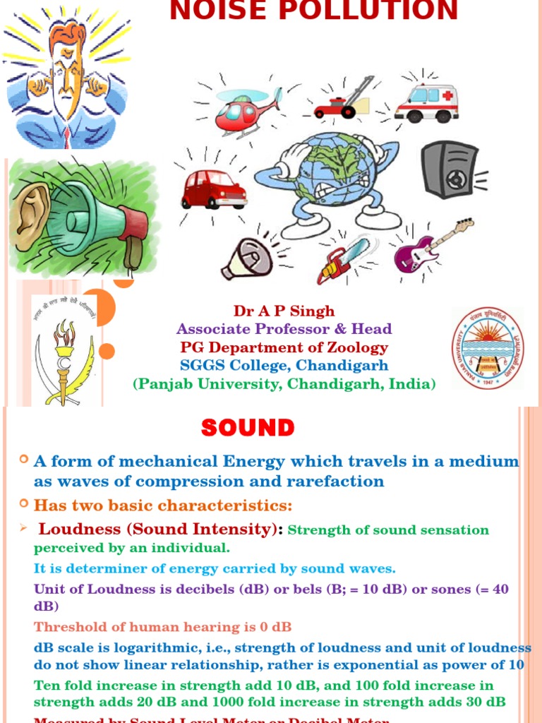 Noise Pollution | PDF | Noise | Sound