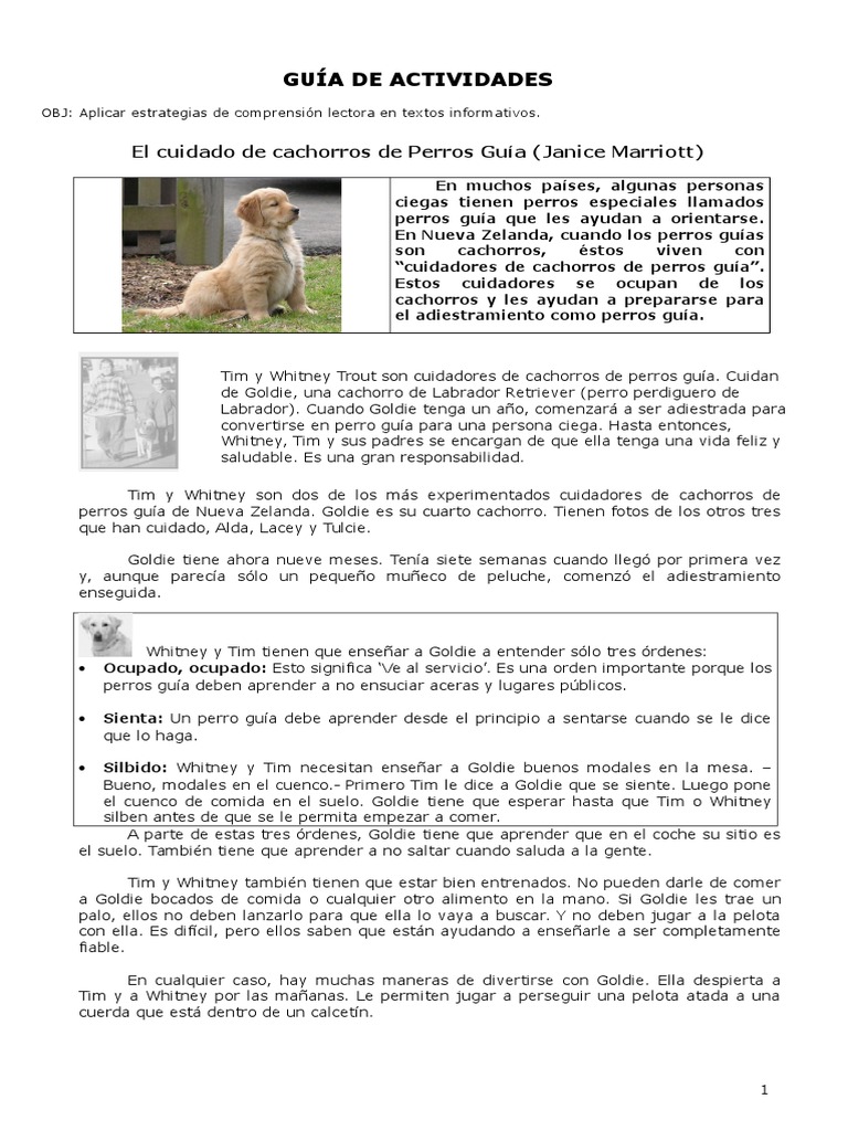 El Cuidado de Cachorros de Perros Guia 4 EP Texto Expositivo | PDF | Perros