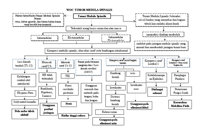 Woc Tumor Medula Spinalis Fix | PDF