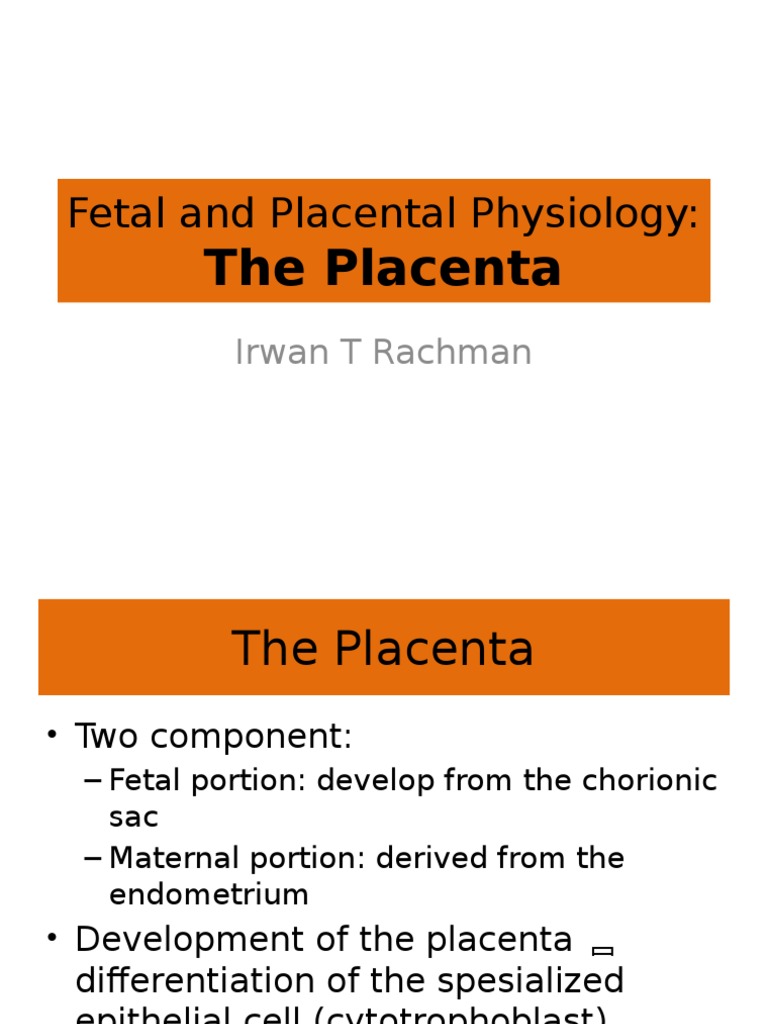 Fetal and Placental Physiology:: The Placenta | PDF | Placenta ...