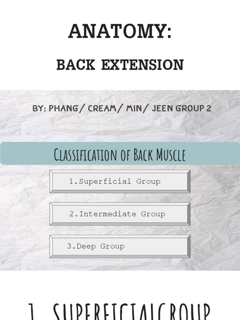 Back Extension | PDF | Vertebra | Vertebral Column