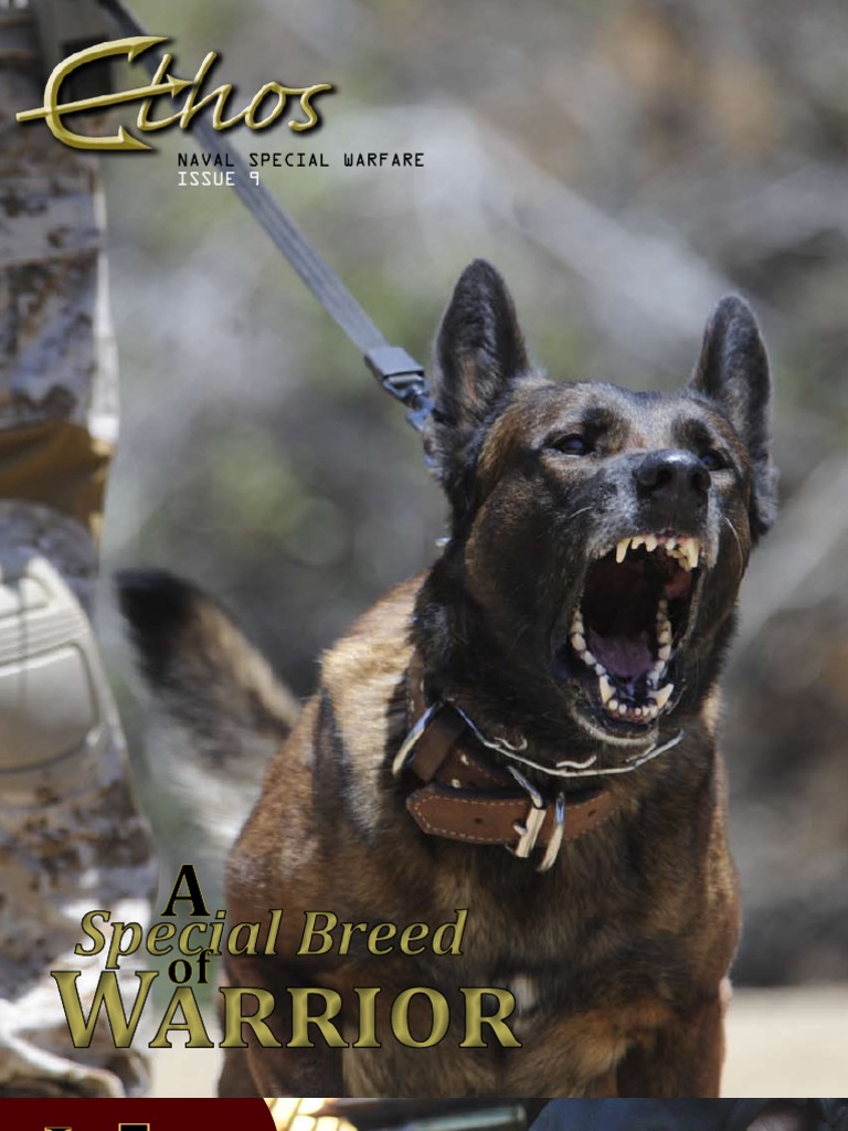 Ethos Magazine Issue 9 | United States Navy Sea Ls | United States ...