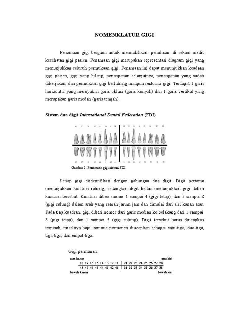 Nomenklatur Dan Erupsi Gigi Dan Impaksi Dan Sar Dan Ameloblastoma Dan Epulis | PDF